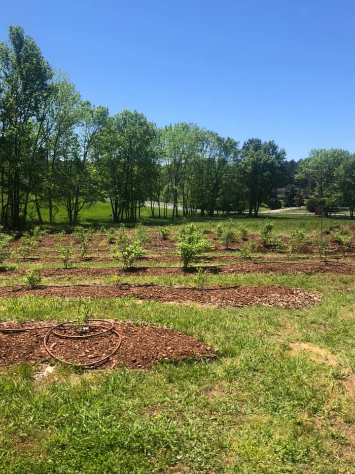 April 2019 – Update – Pack House Farm